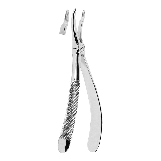 Extracting Forceps – Medspine International