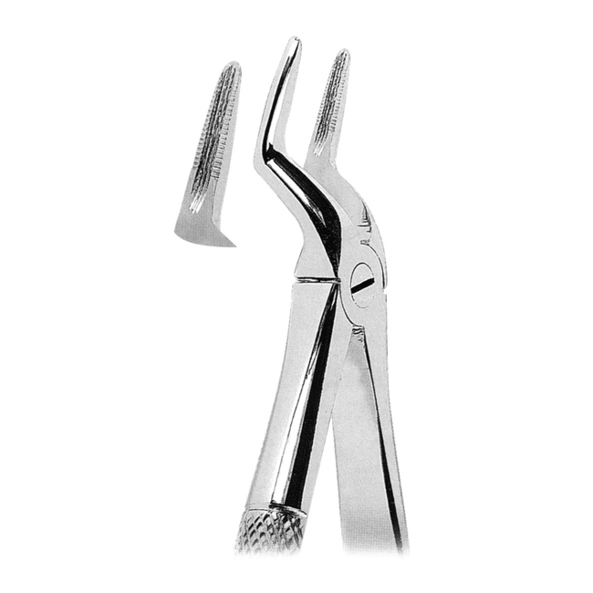 Extracting Forceps – Medspine International