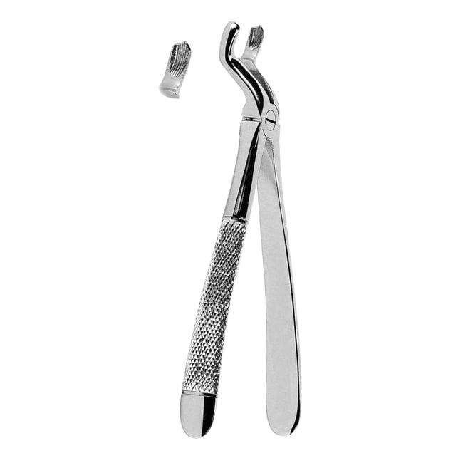 Extracting Forceps – Medspine International