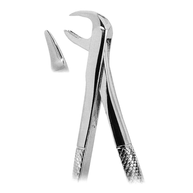 Extracting Forceps – Medspine International