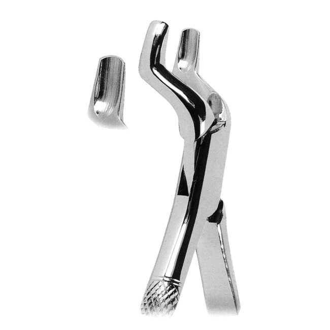 Extracting Forceps American Pattern – Medspine International
