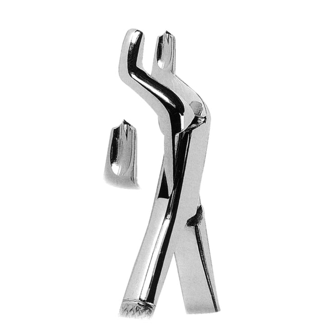 Extracting Forceps American Pattern – Medspine International
