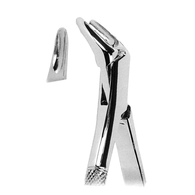 Extracting Forceps American Pattern – Medspine International