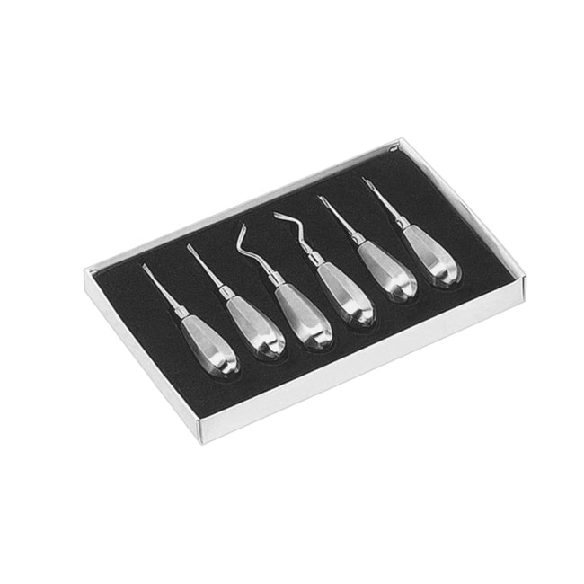 Root Elevators Kit – Medspine International