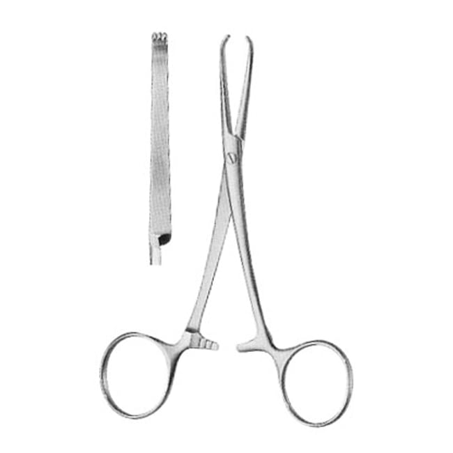 Tissue Forceps – Medspine International